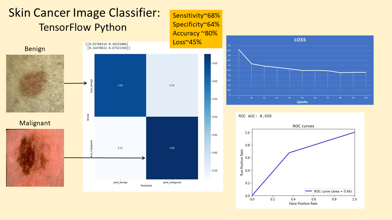AI-Driven Skin Cancer Diagnosis – Our Blogs